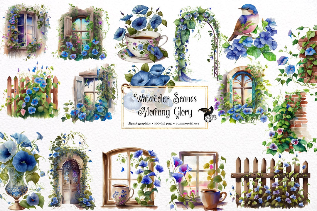 Watercolor Morning Glory Scenes Clipart - Floral Watercolor PNG Format ...