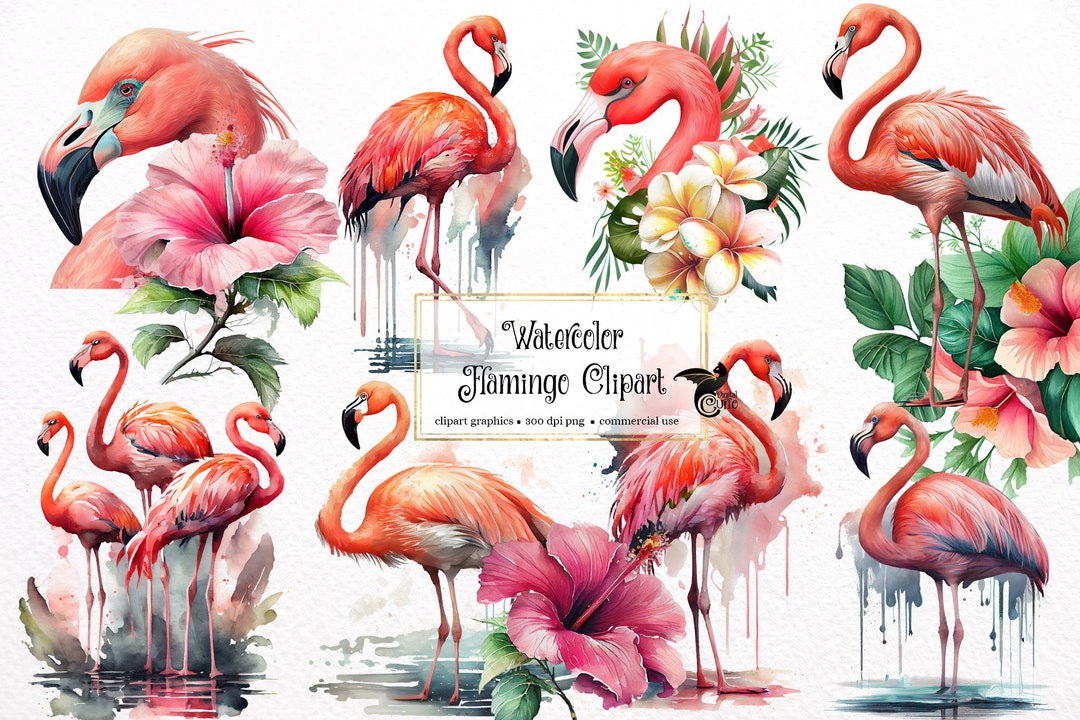 Watercolor Flamingo Clipart - Tropical Birds With Flowers and Leaves in ...