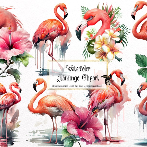 Flamingo Clipart - Etsy