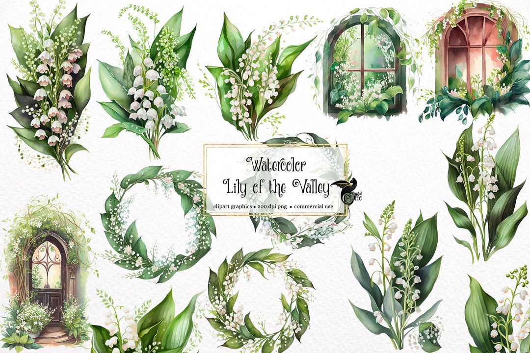 Aquarell Maiglöckchen Blumen Clipart - Mai Glocken Blumen Frühling ...