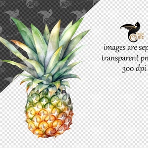 Watercolor Pineapple Clipart - Digital Png Tropical Fruit Graphics for ...