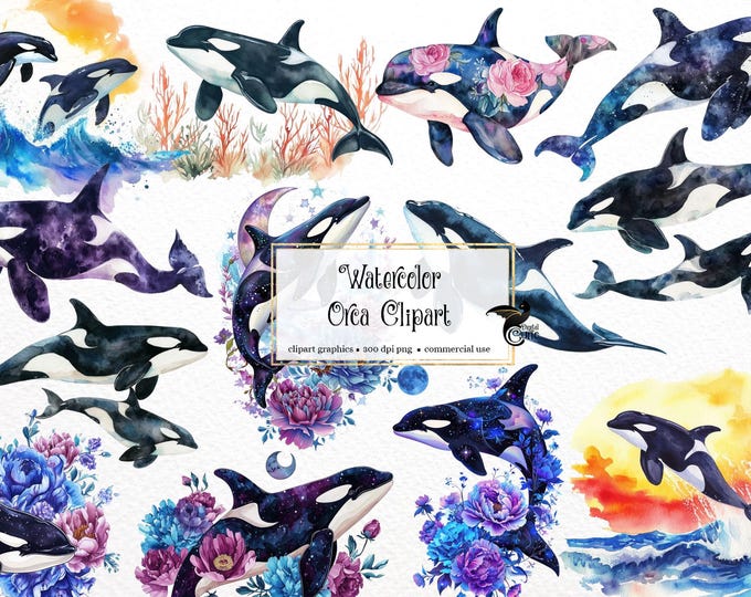 17 Ocean Whale Clipart Bundle, Watercolor Orca Images Illustrations ...
