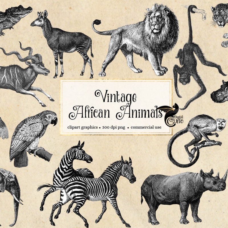 Vintage Clip Art - Etsy