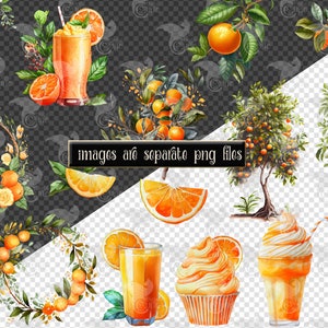 Watercolor Oranges Clipart - Digital Png Citrus, Graphics for Instant ...