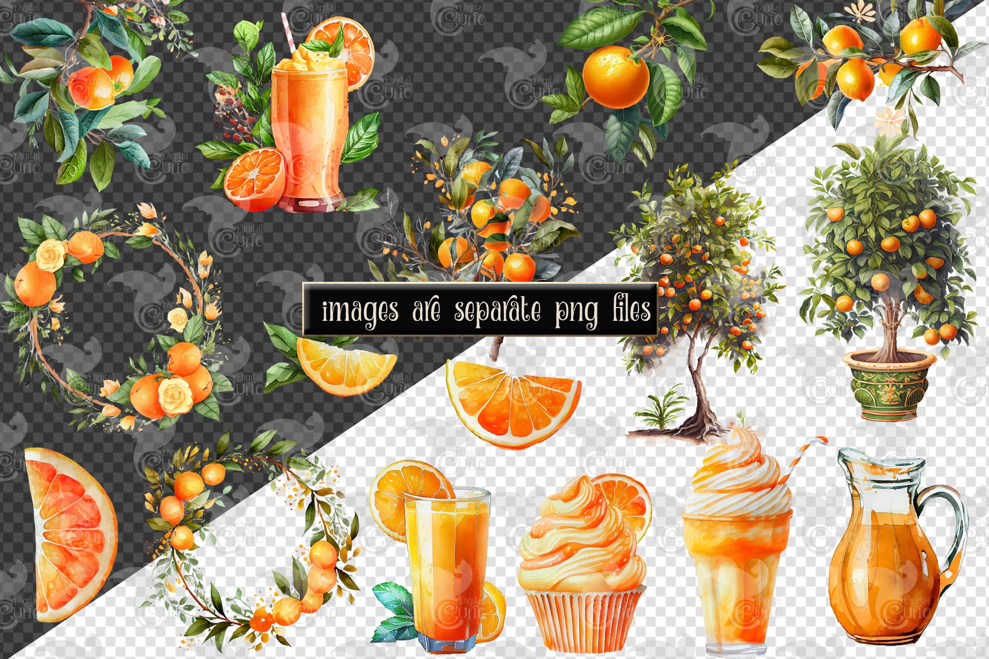 Watercolor Oranges Clipart - Digital Png Citrus, Graphics for Instant ...