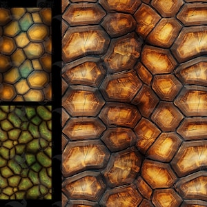 Turtle Shell Digital Paper - 20 Seamless Digital Tortoise and Turtle Shell Textures Instant ...