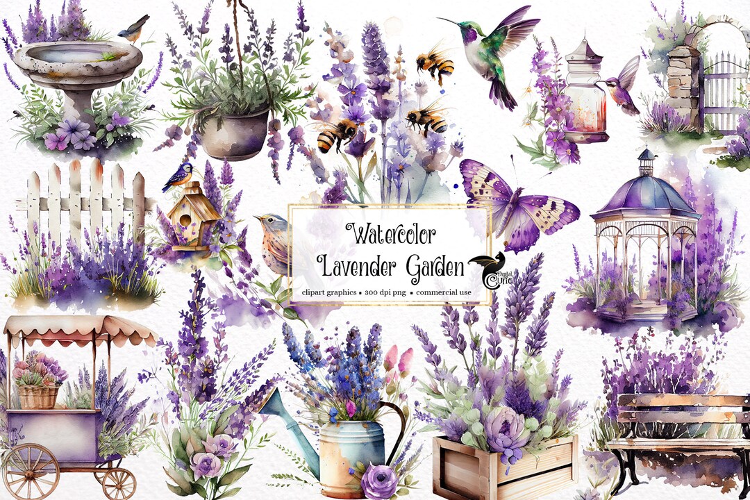 Watercolor Lavender Garden Clipart - Provence Floral Spring PNG Format ...