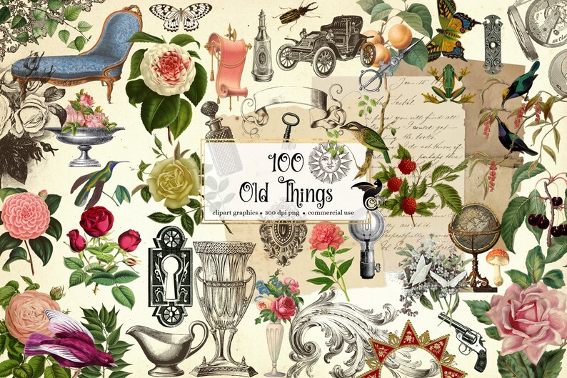 Vintage Ephemera Clip Art - Antique Objects & Overlays (PNG, Commercial ...