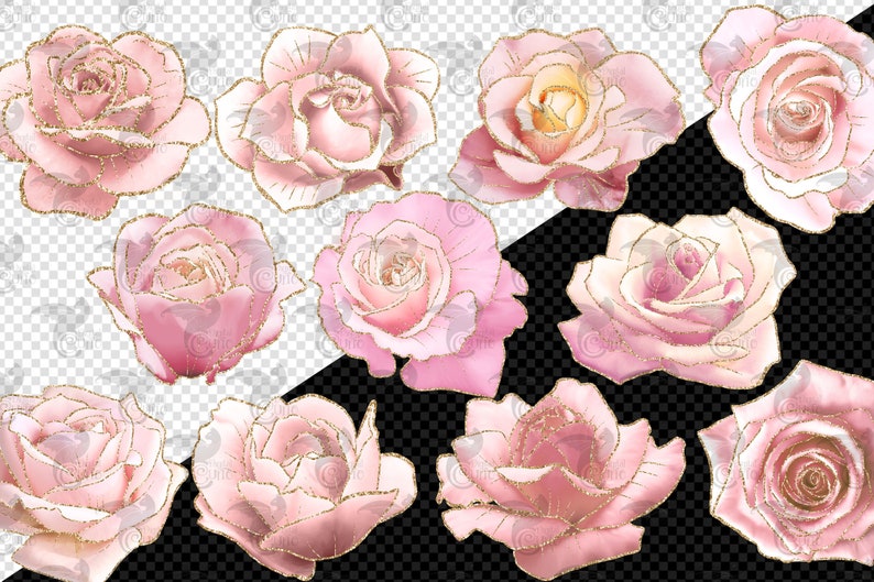 Blush and Gold Glam Rose Clip Art Digital Instant Download - Etsy