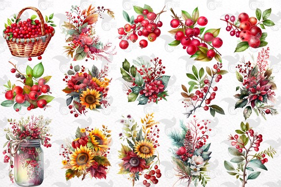 Preiselbeeren Clipart 92 Preiselbeeren High Res Illustrations Getty