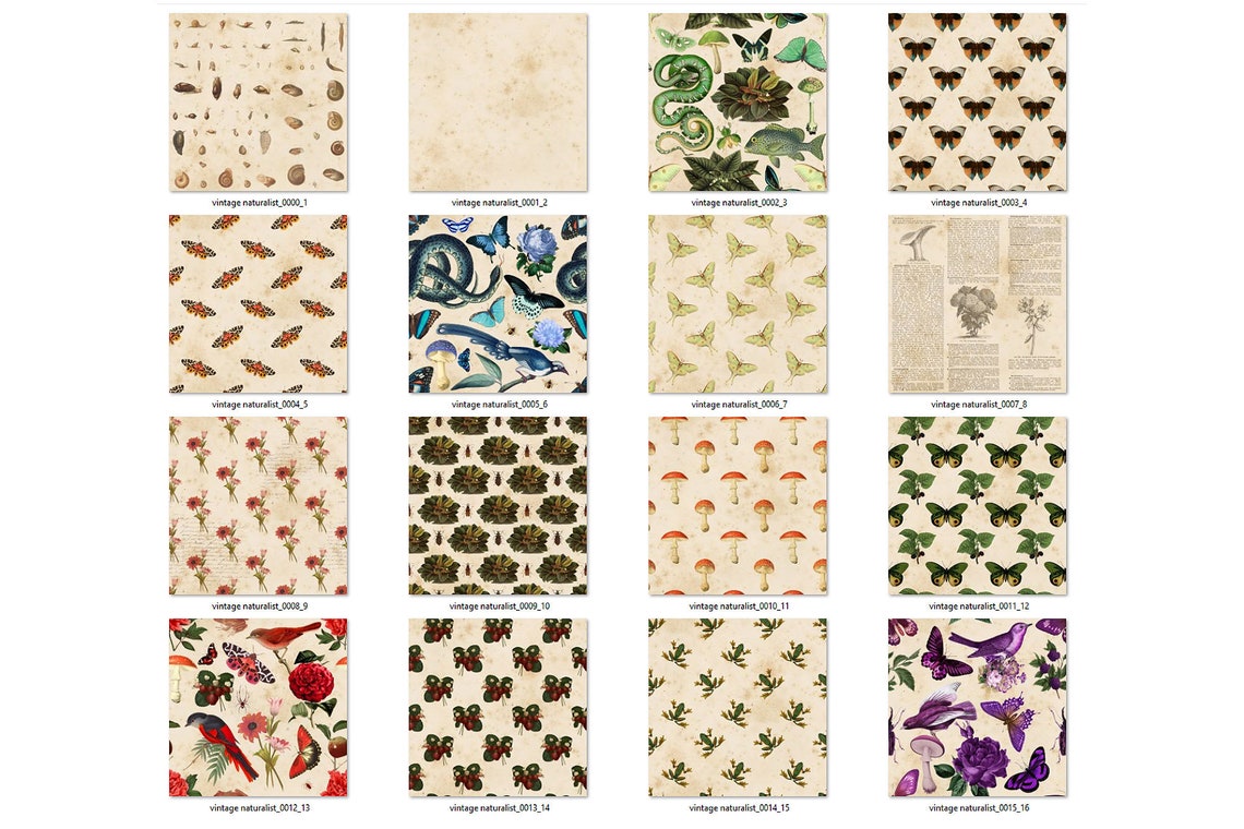 Vintage Naturalist Digital Paper Seamless Forest Animal - Etsy