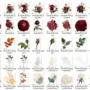 Burgundy Wedding Florals Clipart, Wine Red, Ivory White and Russet Gold ...