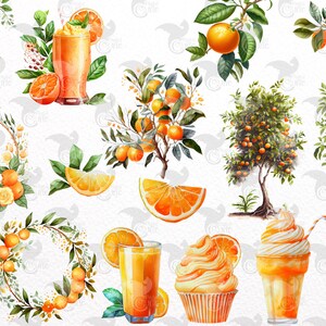 Watercolor Oranges Clipart - Digital Png Citrus, Graphics for Instant ...