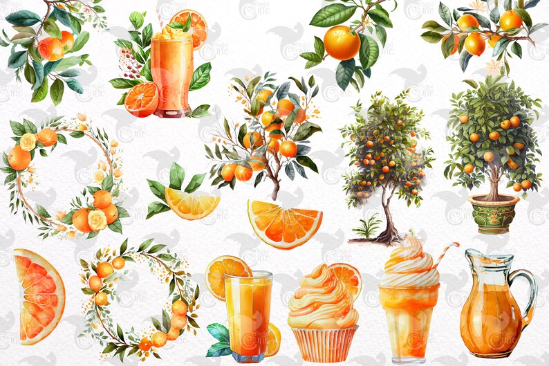 Watercolor Oranges Clipart - Digital Png Citrus, Graphics for Instant ...