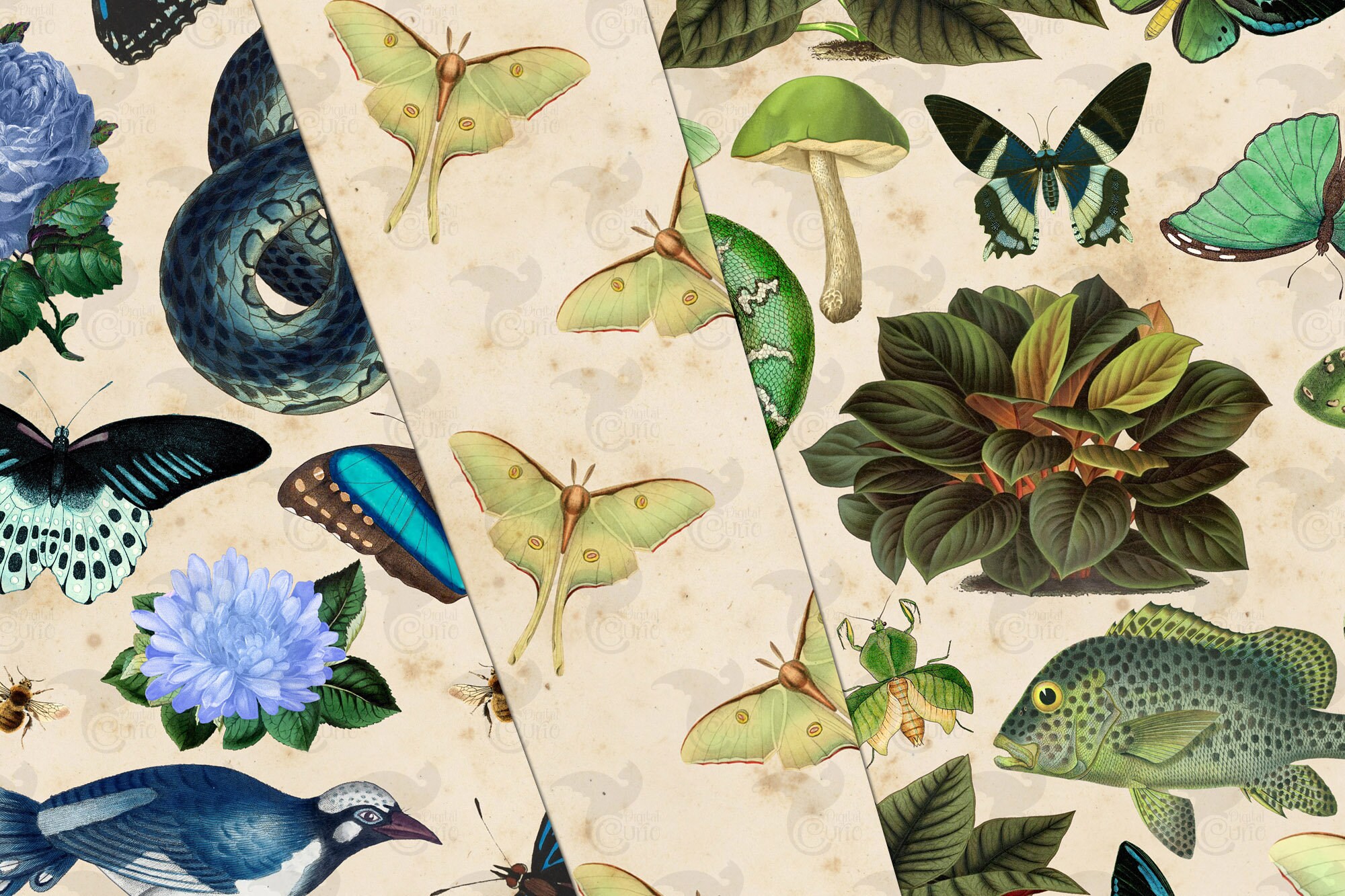 Vintage Naturalist Digital Paper Seamless Forest Animal - Etsy