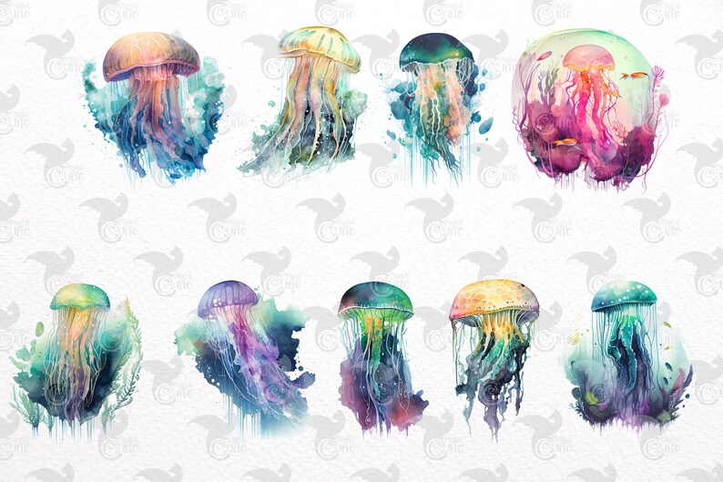 Watercolor Jellyfish Clipart, Nautical Ocean PNG Graphics (commercial ...