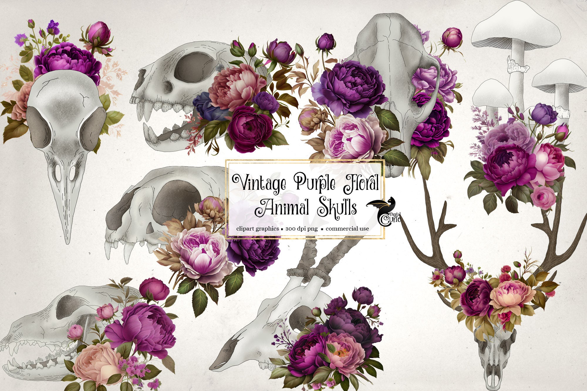 Animal Skulls And Flowers