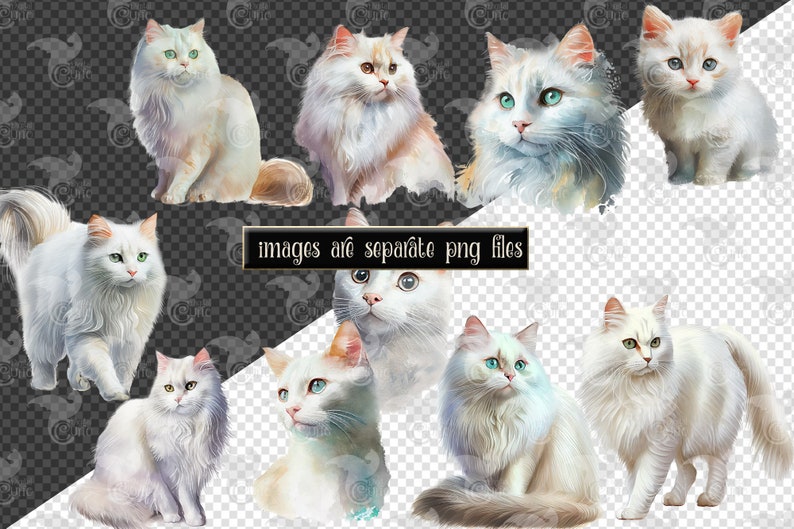 Watercolor White Cats Clipart - Cute Cats and Kittens PNG Format ...