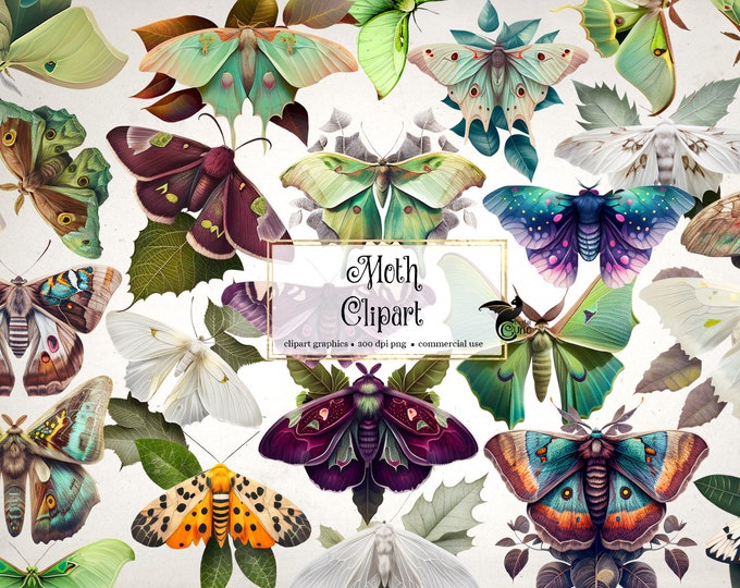 Night Moon and Atlas Moth Botanical Illustration Fall Moth and Floral ...