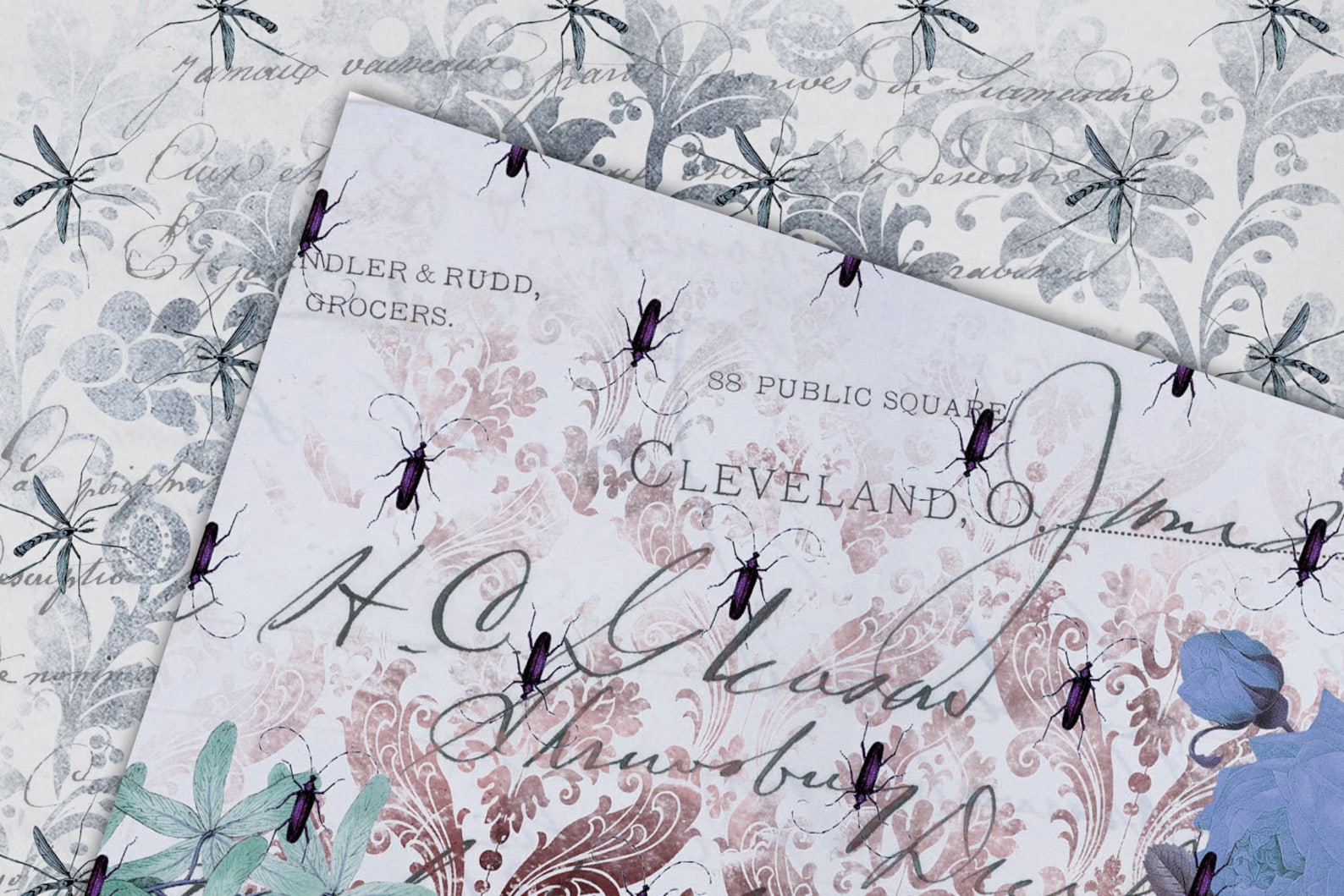 Entomology Ephemera Digital Paper Rustic Textures With | Etsy