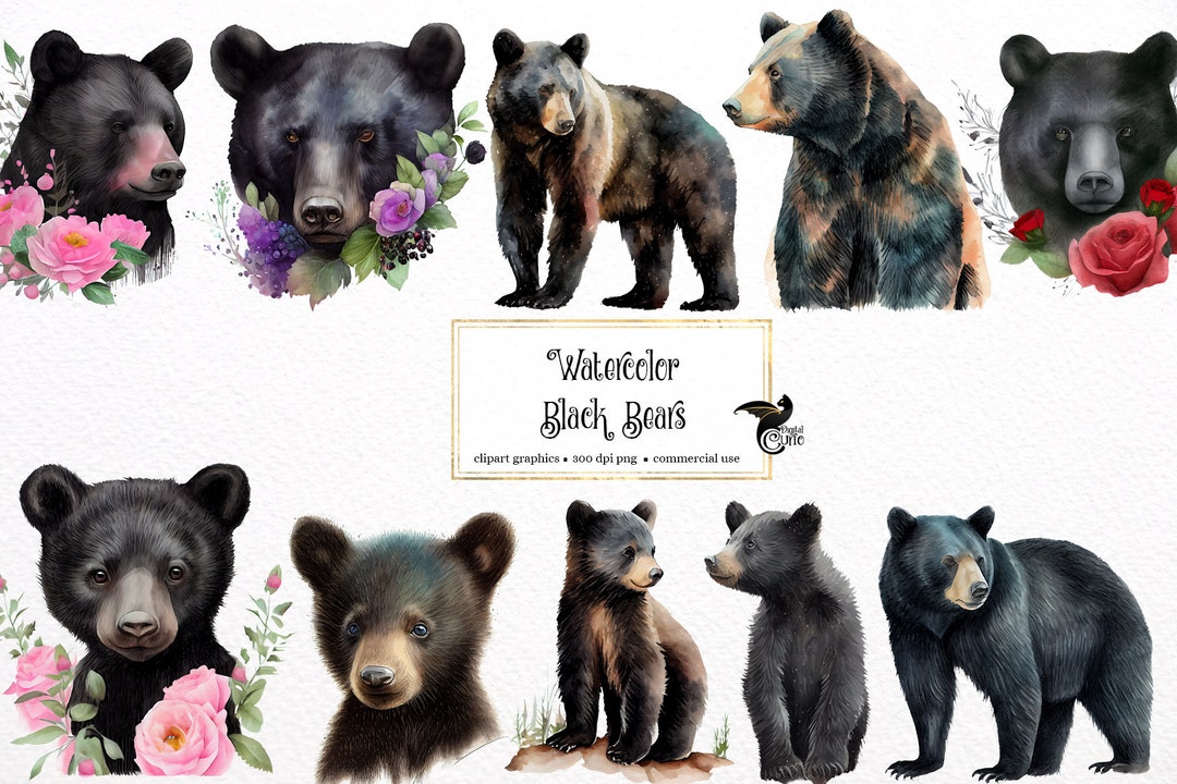 Watercolor Black Bears Clipart - Cute Floral Bears, Forest Animals PNG ...