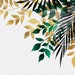 Black and Gold Tropical Frames Clip Art - Digital Frame Graphics in Png ...