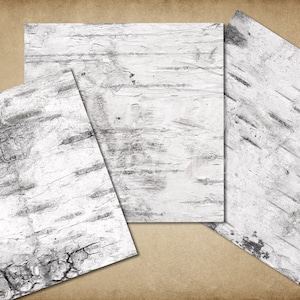 White Birch Bark Digital Paper - Birch Tree Backgrounds, White Wood ...