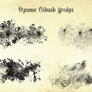 Procreate Grunge Cobweb Brush Set – 16 Spider Web Stamps (digital ...