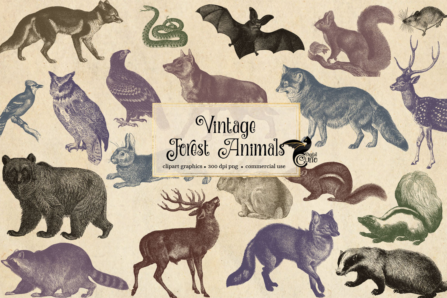 Vintage Forest Animals Clipart Antique Illustrations of - Etsy
