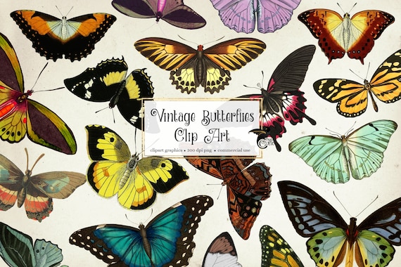 Vintage Butterfly Clip Art
