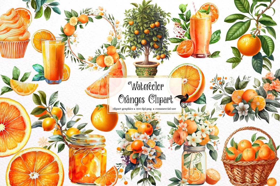 Watercolor Oranges Clipart - Digital Png Citrus, Graphics for Instant ...