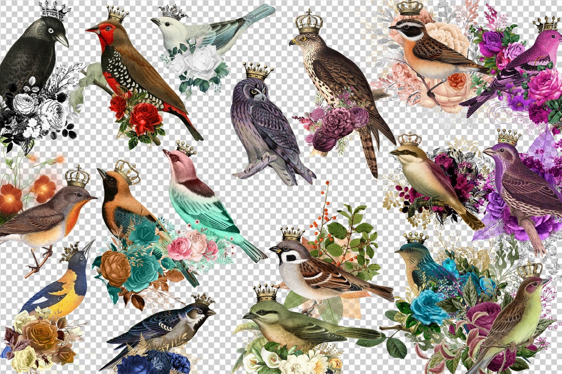 Crowned Birds Clipart Vintage Antique Bird Clip Art Graphics | Etsy