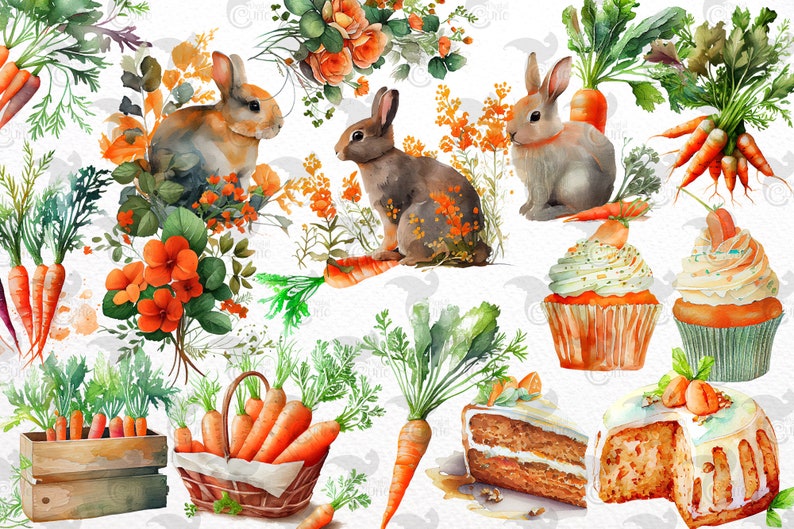 Watercolor Carrot Clipart – Bunny Rabbits & Cake Graphics (digital ...