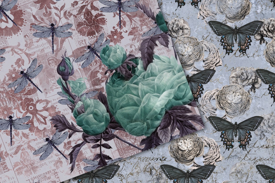 Entomology Ephemera Digital Paper Rustic Textures With | Etsy