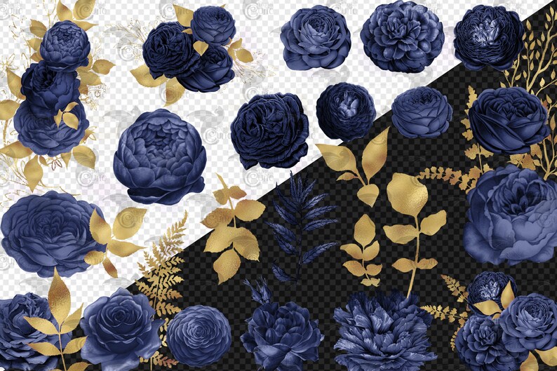 Navy Blue and Gold Floral Clipart - Rose & Foil Leaves (PNG, Commercial ...