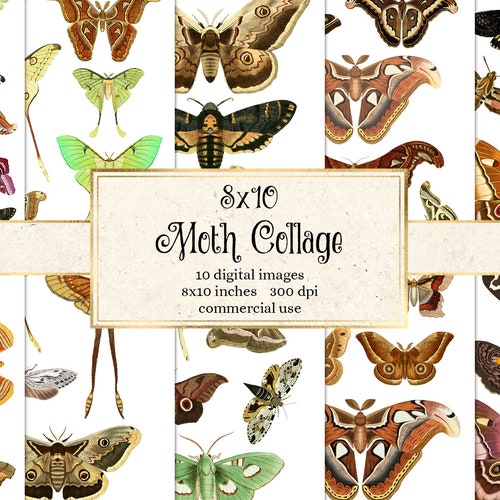 Moth Collage Digital Paper 8x10 Printable Sheets With Vintage - Etsy