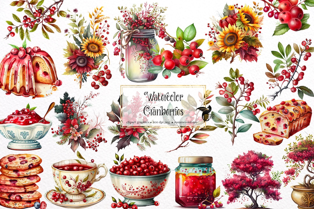 Watercolor Cranberries Clipart - Digital Png Cranberry Graphics for ...