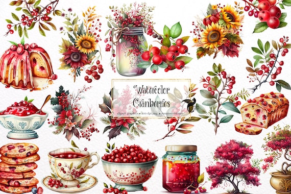 Preiselbeeren Clipart 92 Preiselbeeren High Res Illustrations Getty