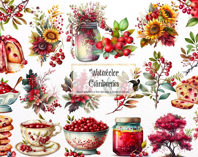 14 Cranberry Clipart Bundle, Cranberry Branch Illustrations, Printable ...