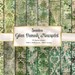 Green Damask Newsprint Digital Paper, Vintage Textures (digital ...