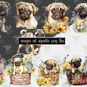 Watercolor Pugs Clipart - Cute Pug Dogs and Puppies PNG Format Instant ...