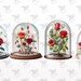 Watercolor Rose Glass Domes Clipart - Watercolor Flower Fantasy PNG ...