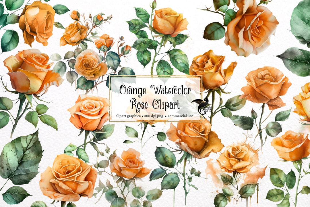 Orange Watercolor Roses Clipart - Floral Roses and Leaves in PNG Format ...