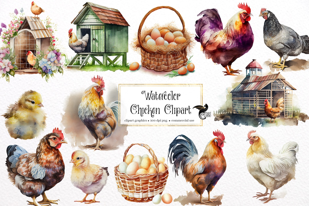 Watercolor Chicken Clipart - Cute Chickens and Chicks, Farm Animal PNG ...