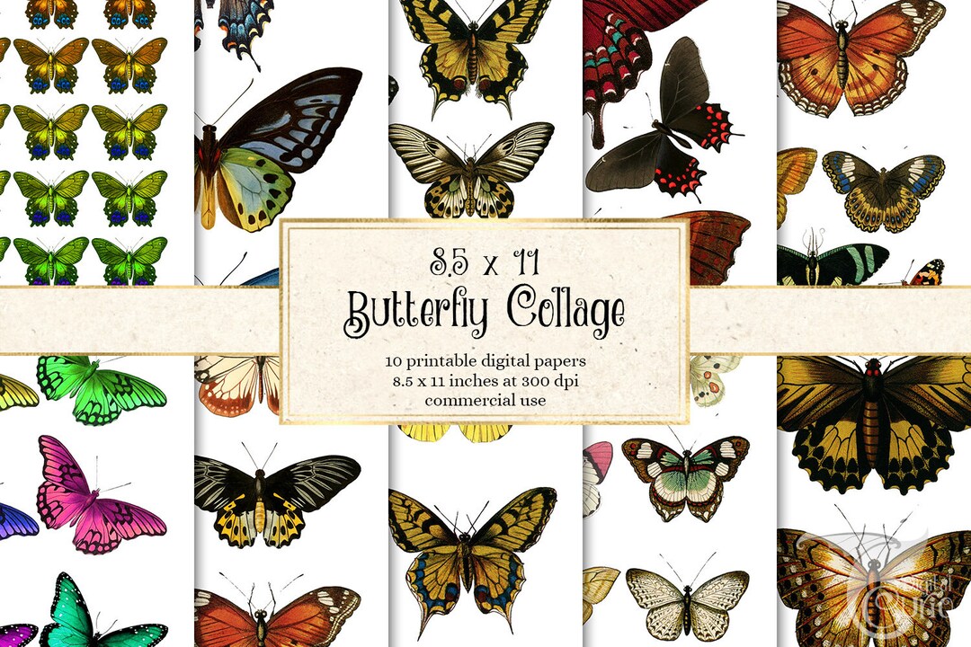 Butterfly Collage Digital Paper, 8.5x11 Printable Sheets With Vintage ...