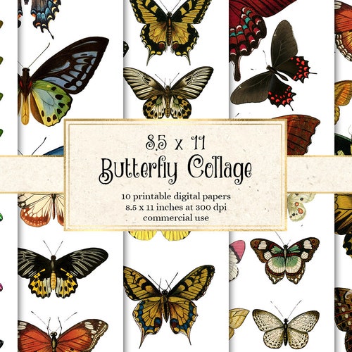 Butterfly Collage Digital Paper 8.5x11 Printable Sheets With | Etsy