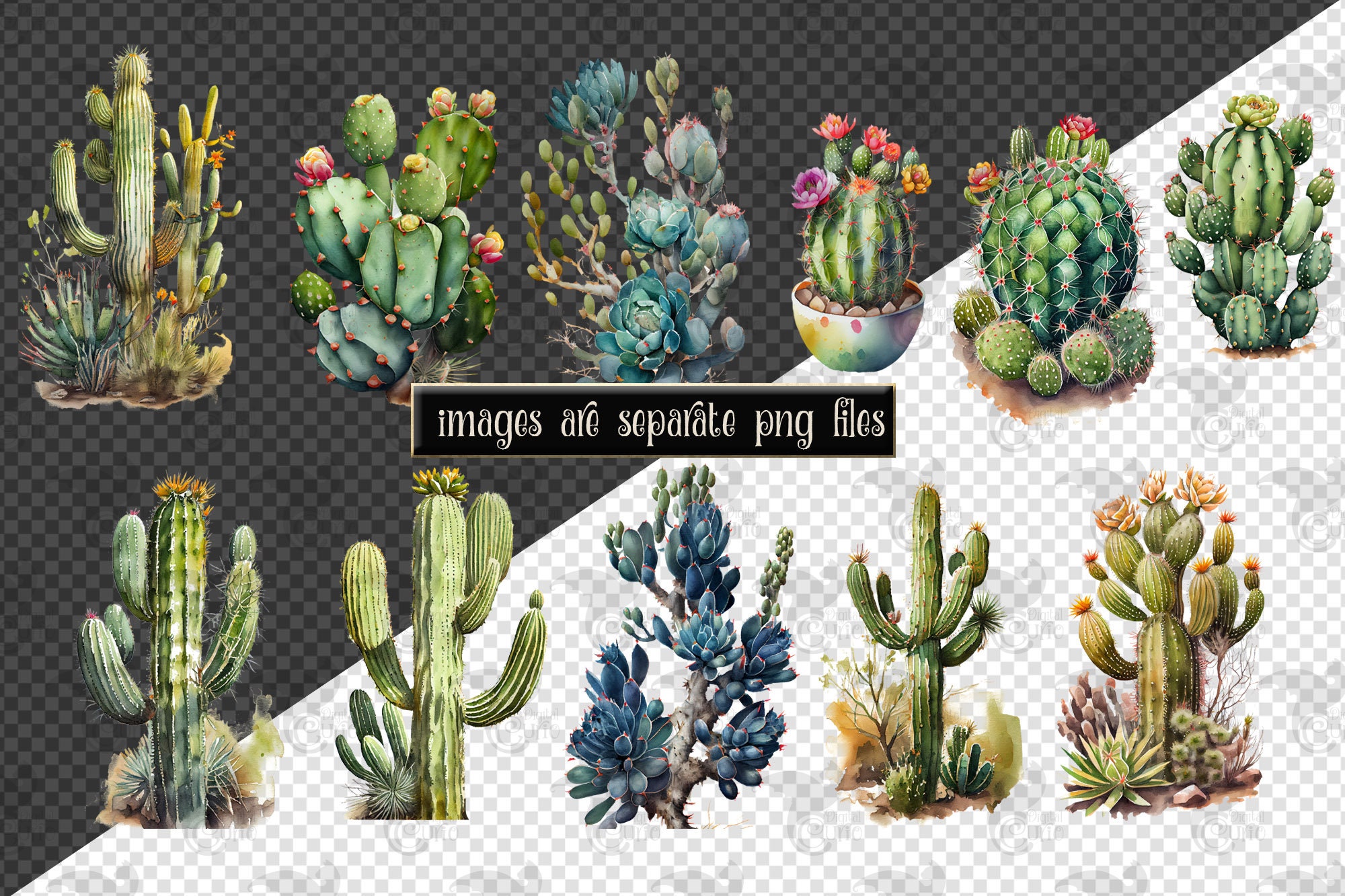 Watercolor Cactus Clipart - Desert Cacti PNG Format Instant Download ...