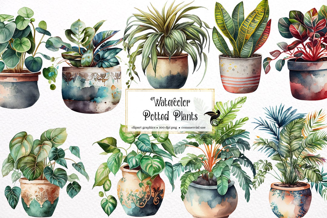 Watercolor Potted Plants Clipart - House Plant PNG Format Instant ...