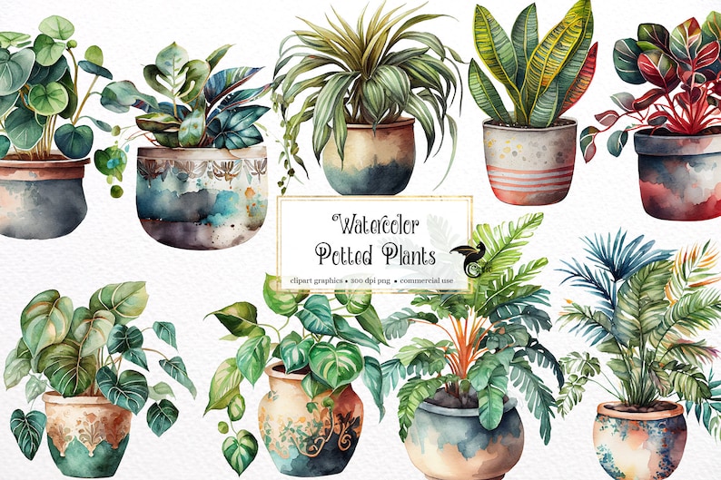 Watercolor Potted Plants Clipart House Plant PNG Format - Etsy