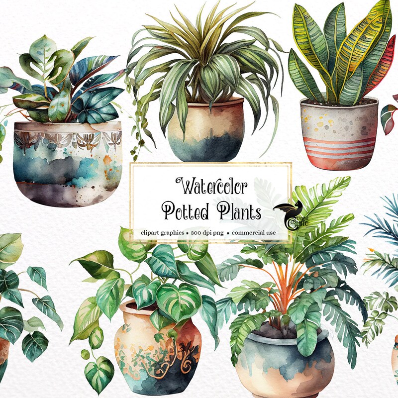 House Plants - Etsy